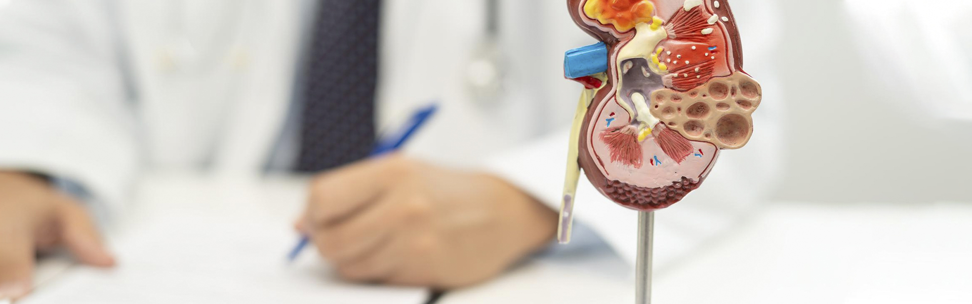 Urología | Hospital Ribera Povisa